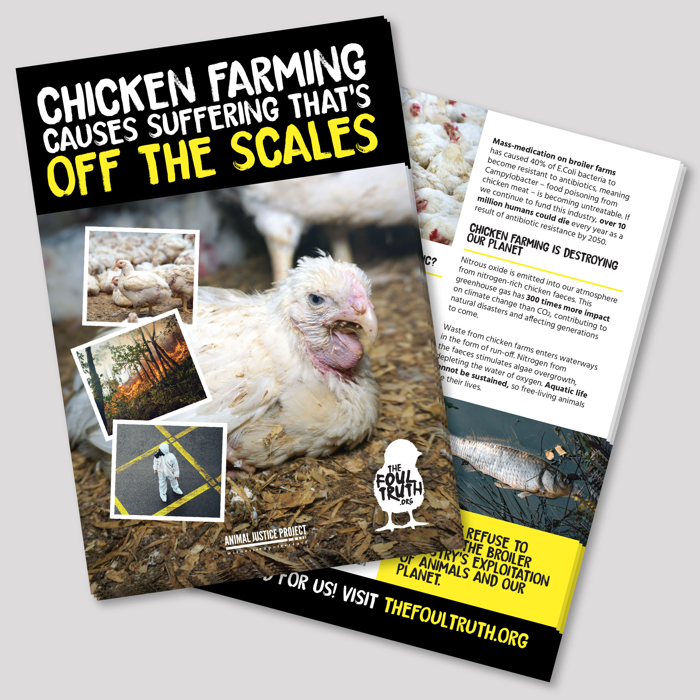 Off the Scales A5 Fold-out Leaflets